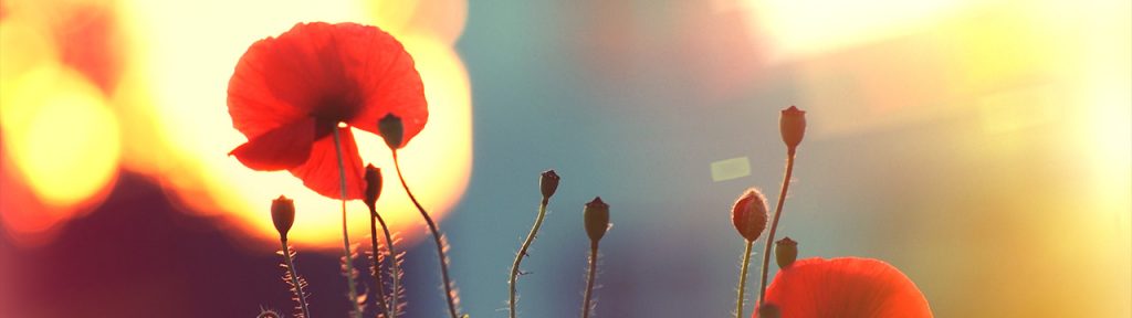 Ultraflares - Photorealistic Lens Flares Photoshop Plugin